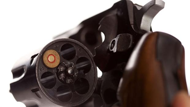 National Assembly passes new gun laws - News Source Guyana
