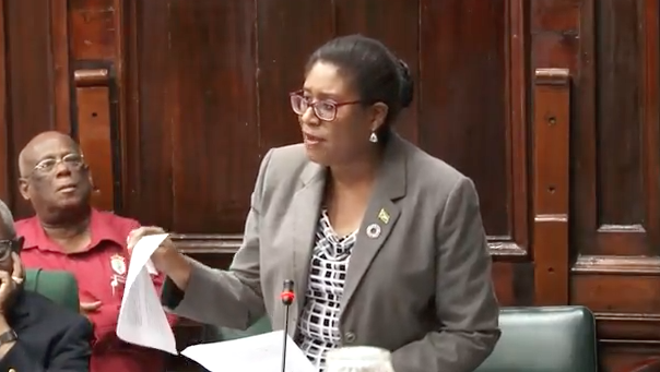 Broadcast Amendment Bill passed after fiery debate on PSA times and ...