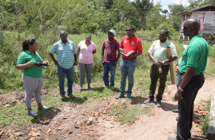 Kwakwani lands being regularised; Over 500 persons to benefit - News ...