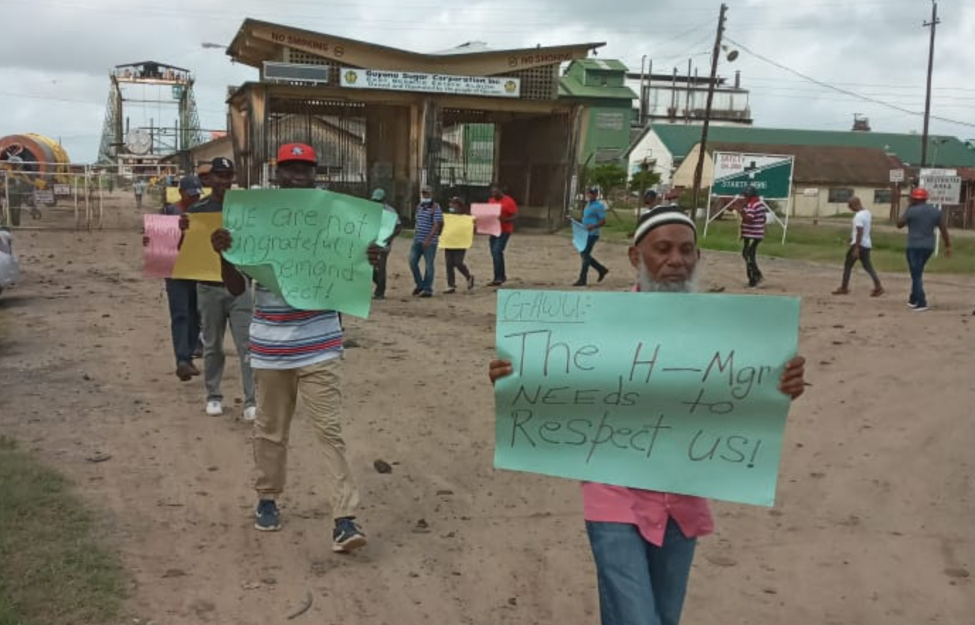 Shop Stewards picket Guysuco Albion estate - News Source Guyana