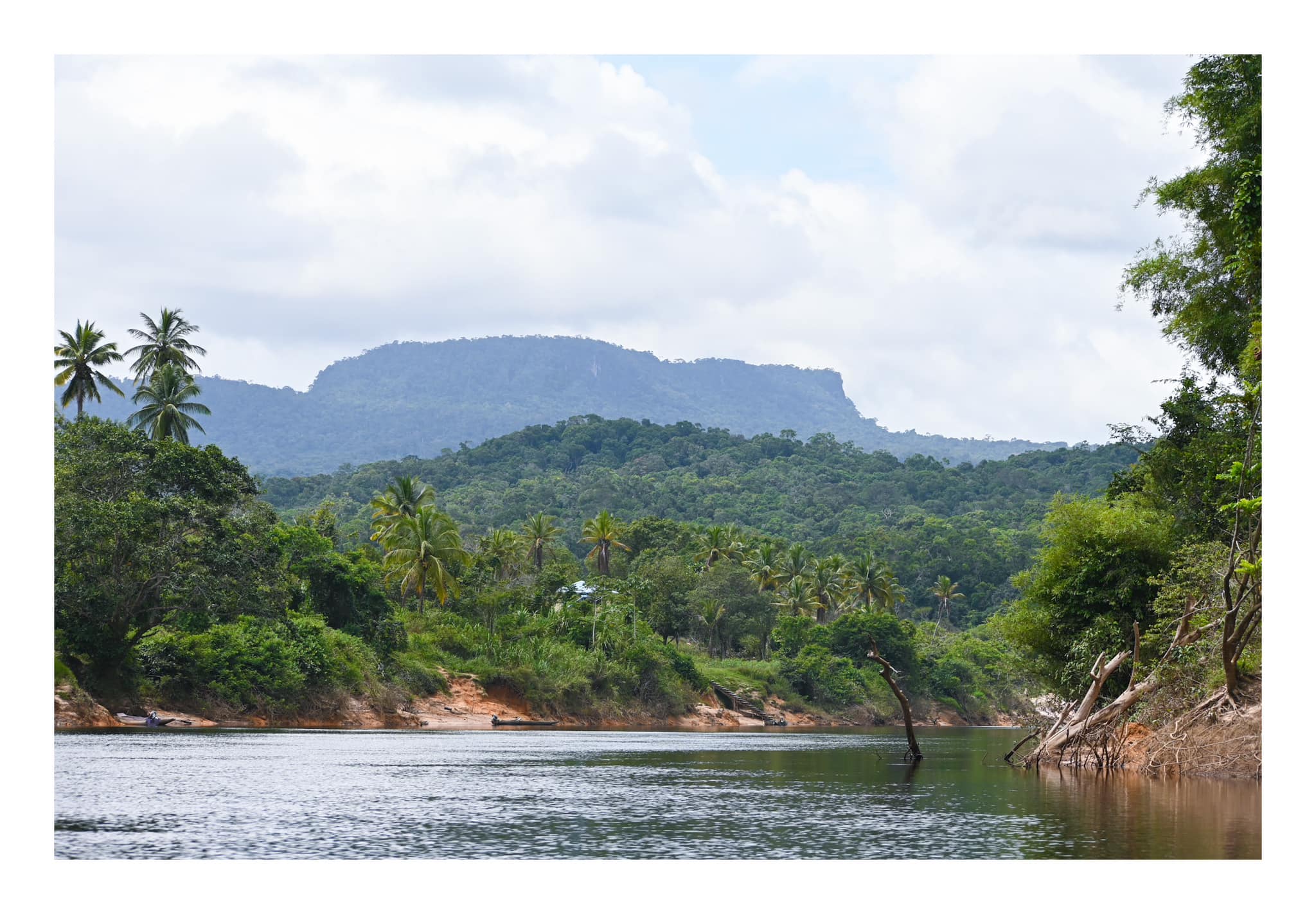 APA defends decision to file complaint over lack of consultation on Carbon Credit sale - News ...