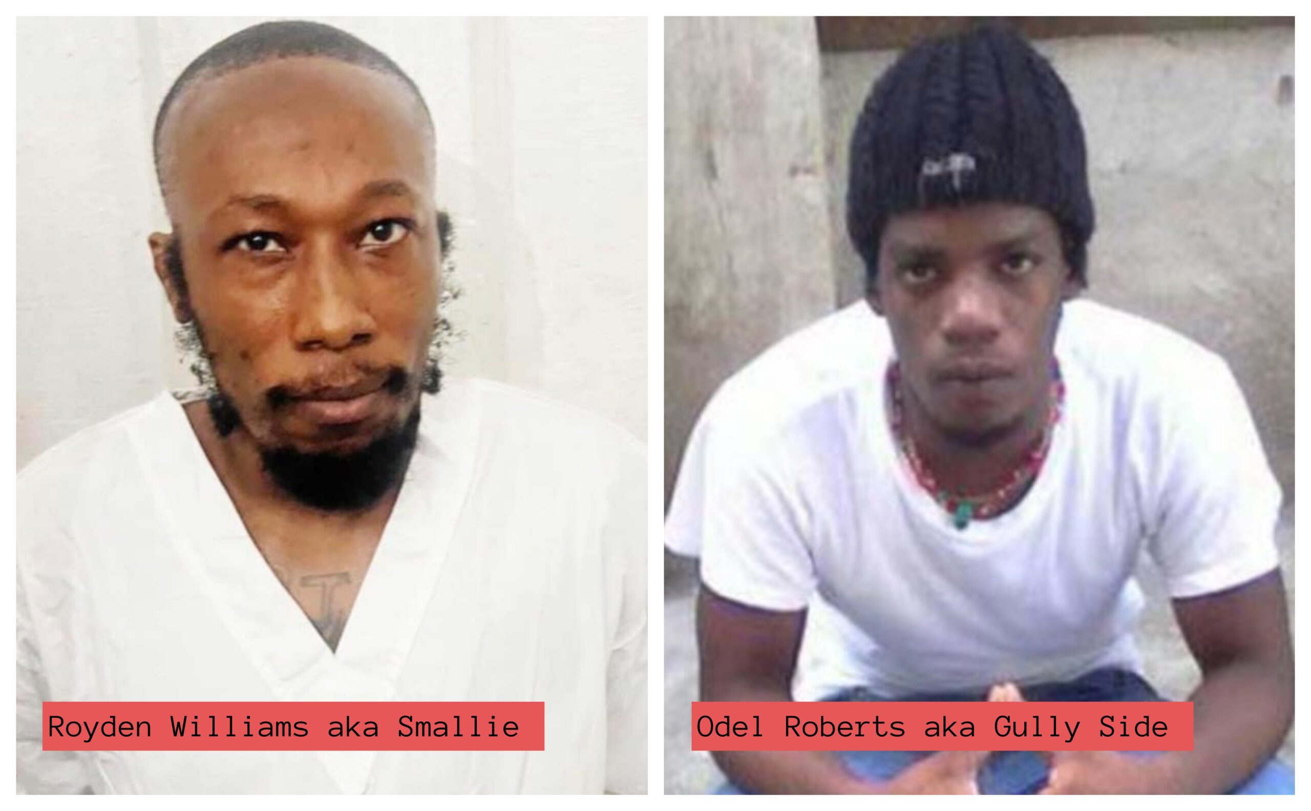 Prison escapee and accomplice shot dead during confrontation with joint services -Police - News ...