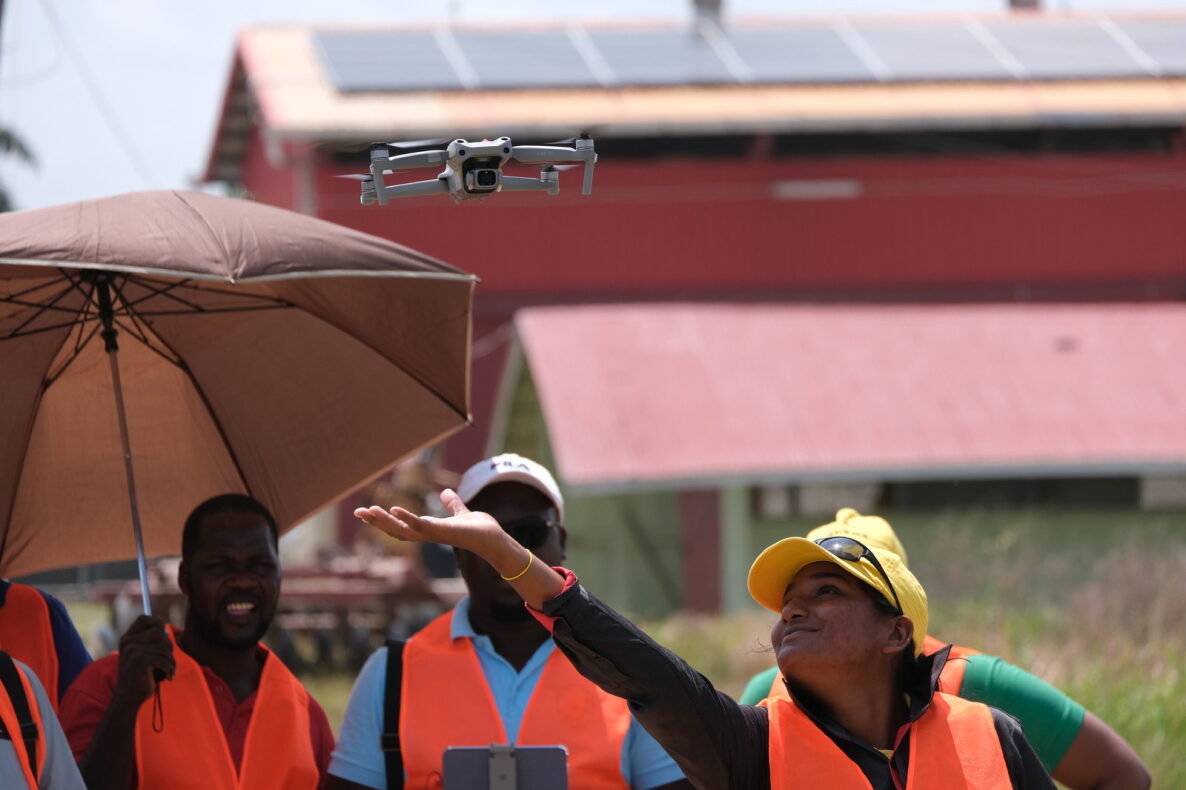 FAO launches drone project with GRDB for monitoring of rice cultivation ...