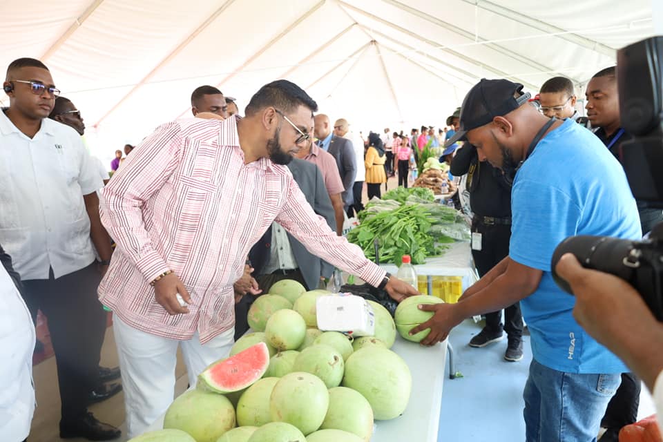 GSA to be transformed into Regional Centre for Excellence in ...