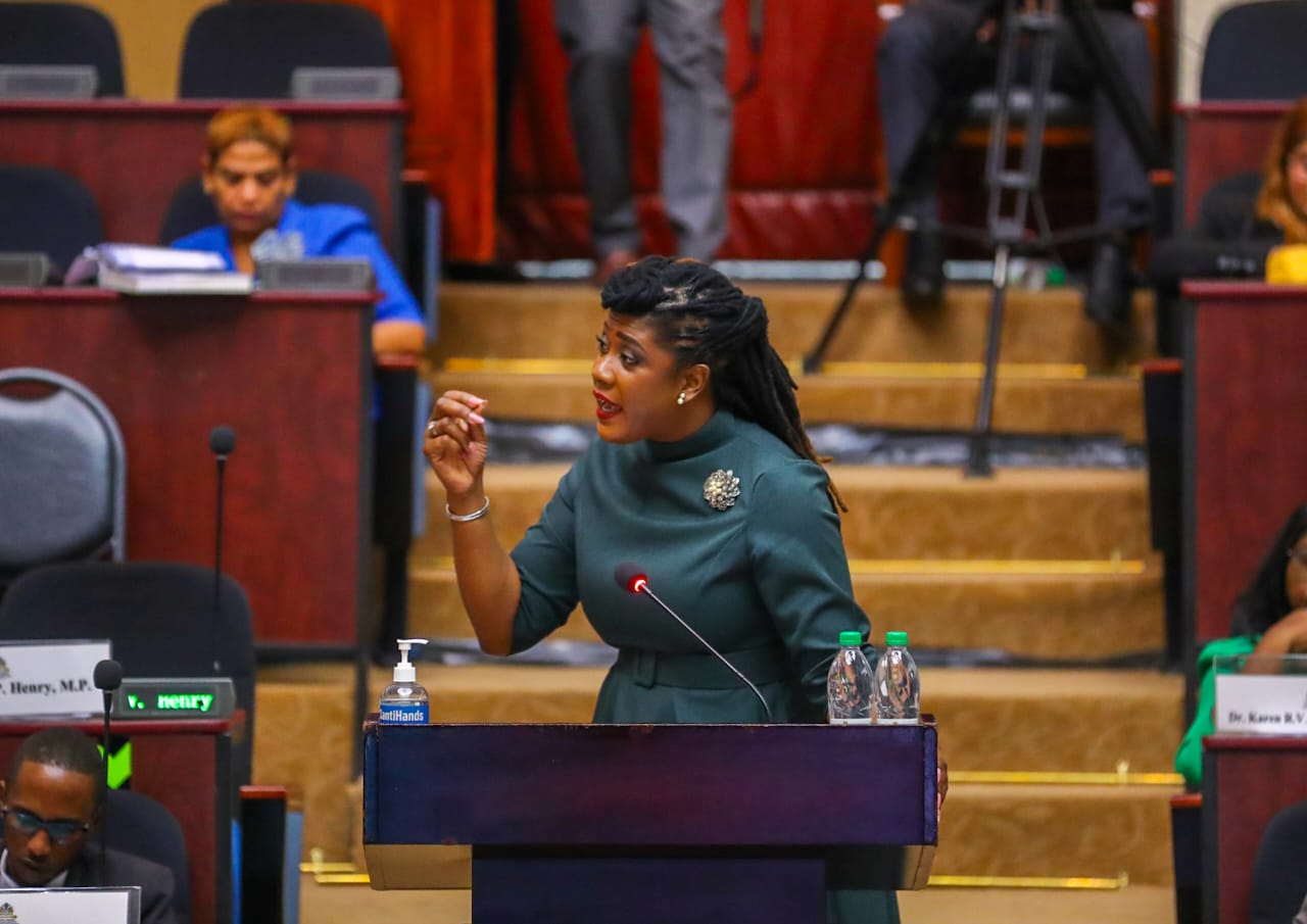 Walton-Desir wants Government to adopt "sober and steady" Foreign ...