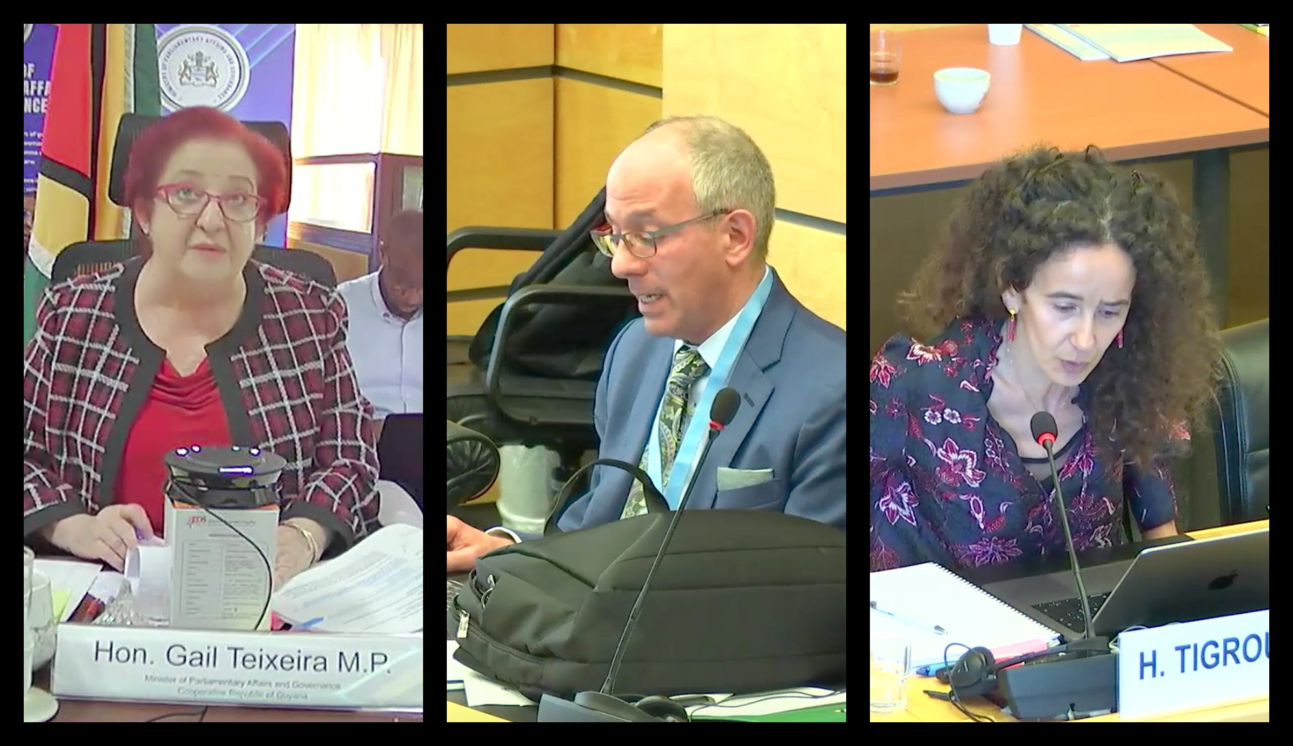 UN Human Rights Committee grills Teixeira on press freedom and alleged ...