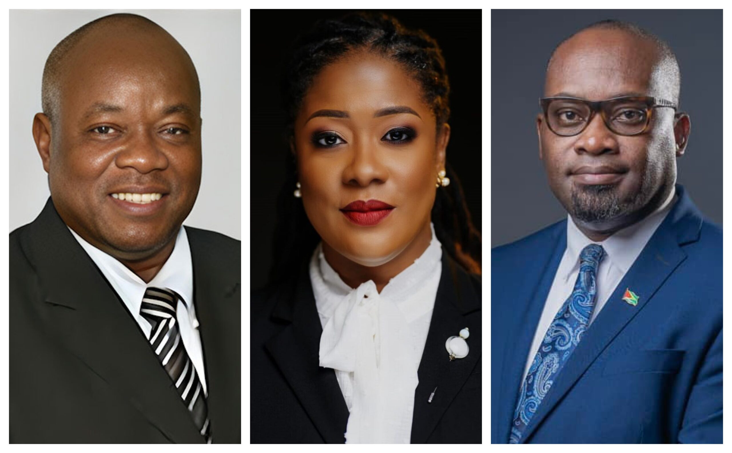 PNC begins preparations for Congress and Elections in June -Norton ...