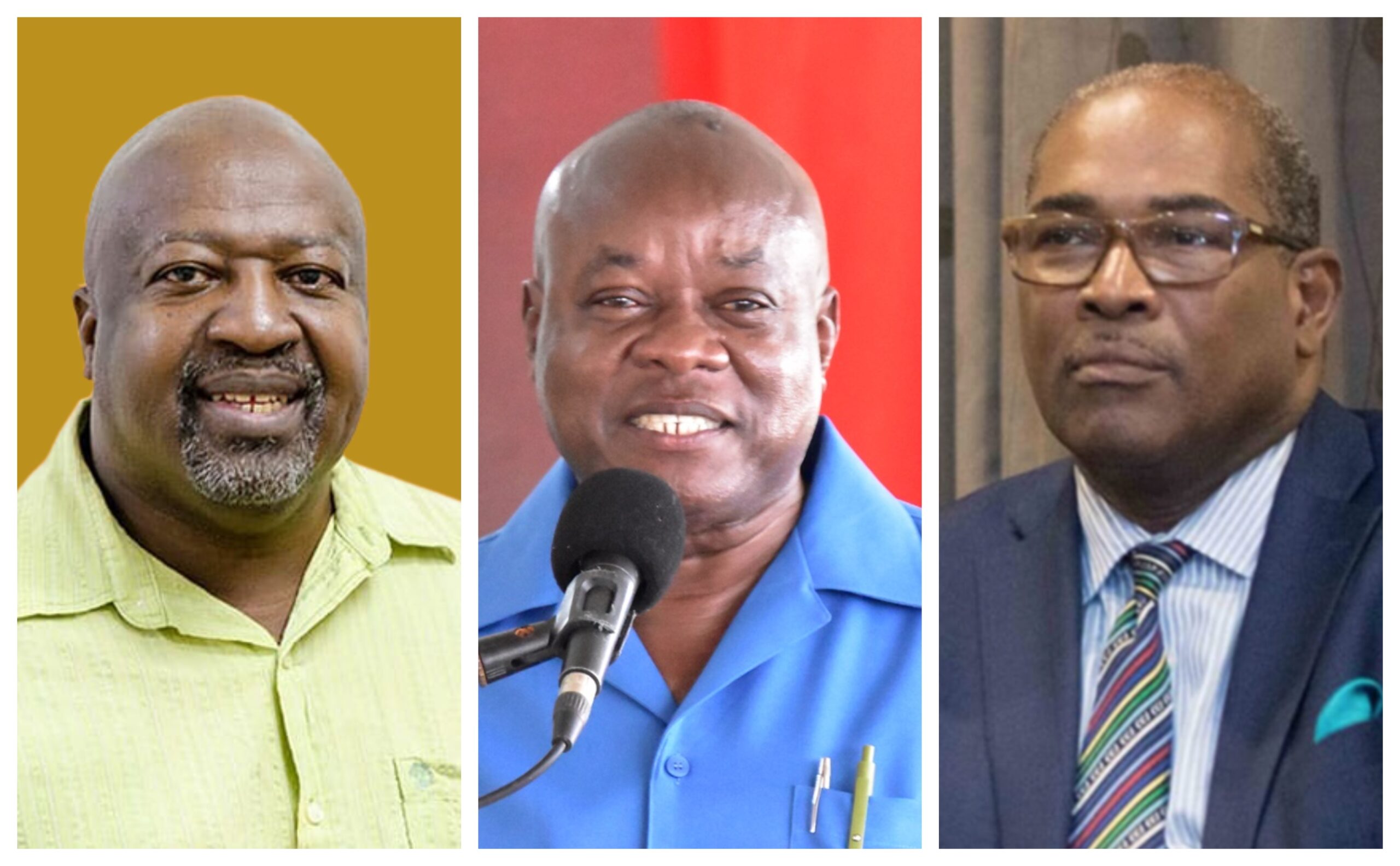 WPA wants opposition parties to form coalition ahead of 2025 elections ...