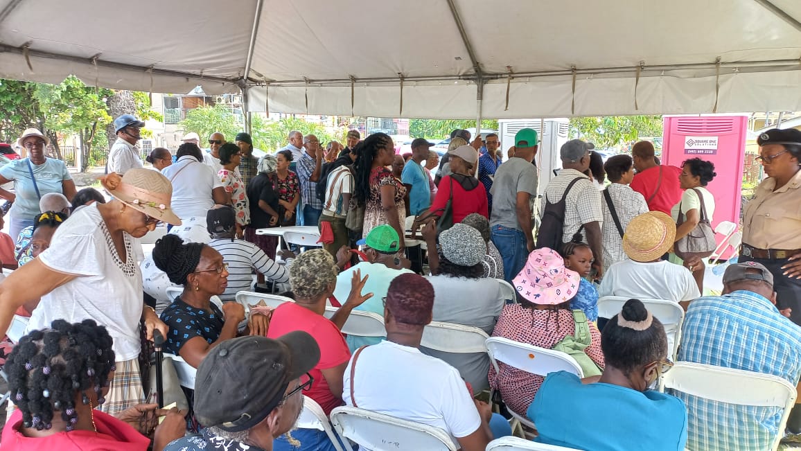 Government should have sought help to manage cash grant registration ...