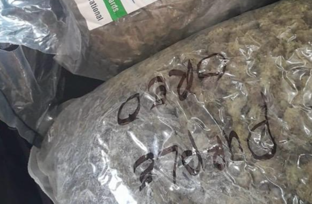 Two Police ranks busted with parcels of "foreign weed" in car - News ...