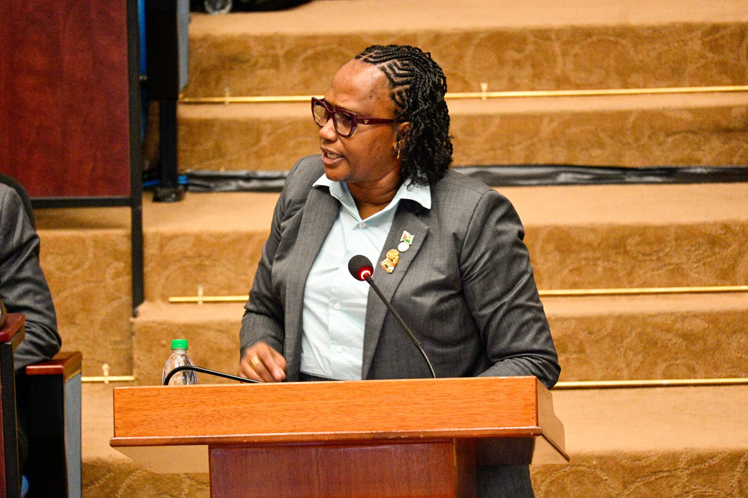 Ferguson accuses Government of allocating undeveloped house lots that ...