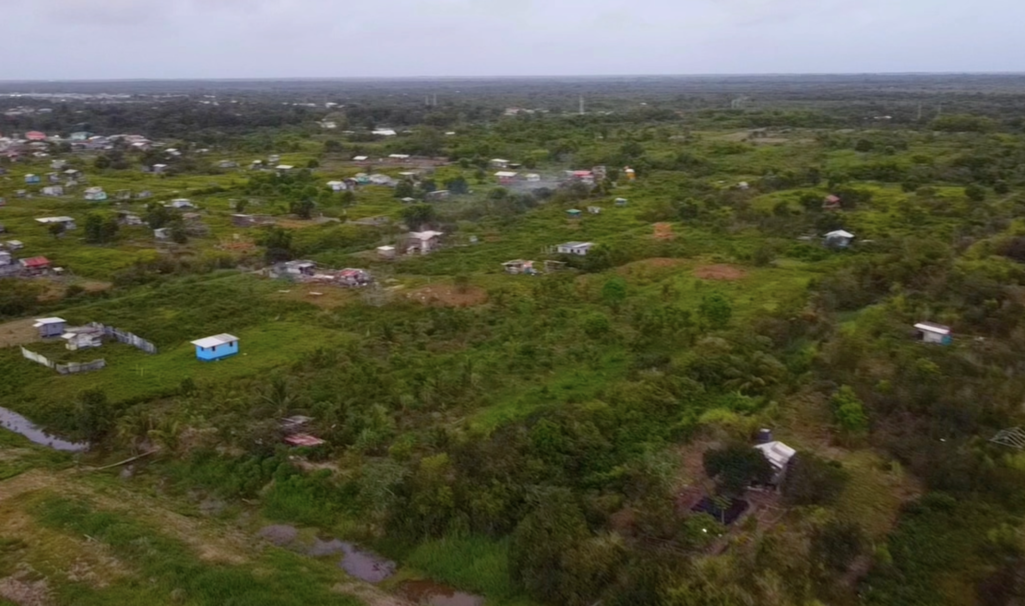 Norton questions President's commitment to helping Mocha squatters who ...