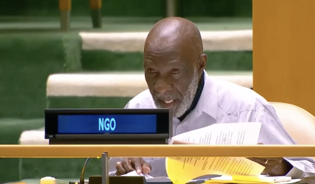 IDPADA-G informs UN Forum of "systematic marginalization" of Afro ...