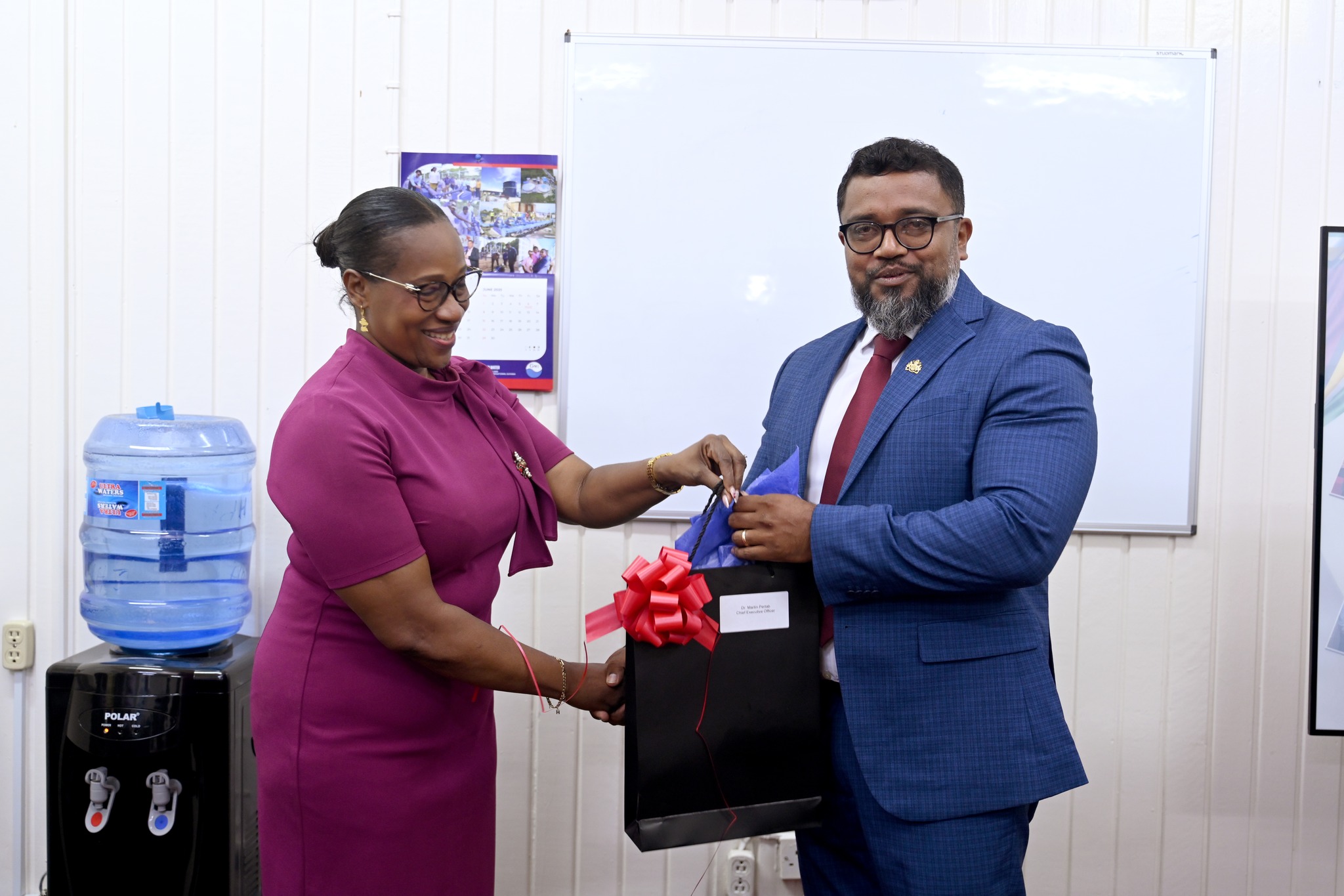New CEO appointed at Central Housing and Planning Authority - News ...